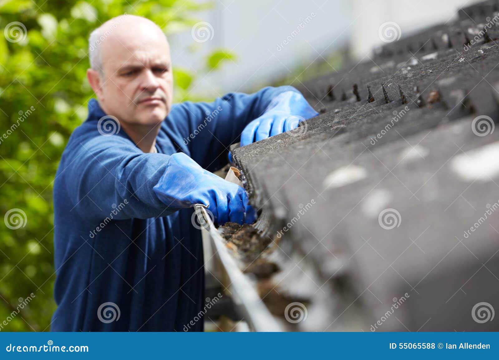 Man Clearing Leaves from Guttering of House Stock Photo - Image of ...