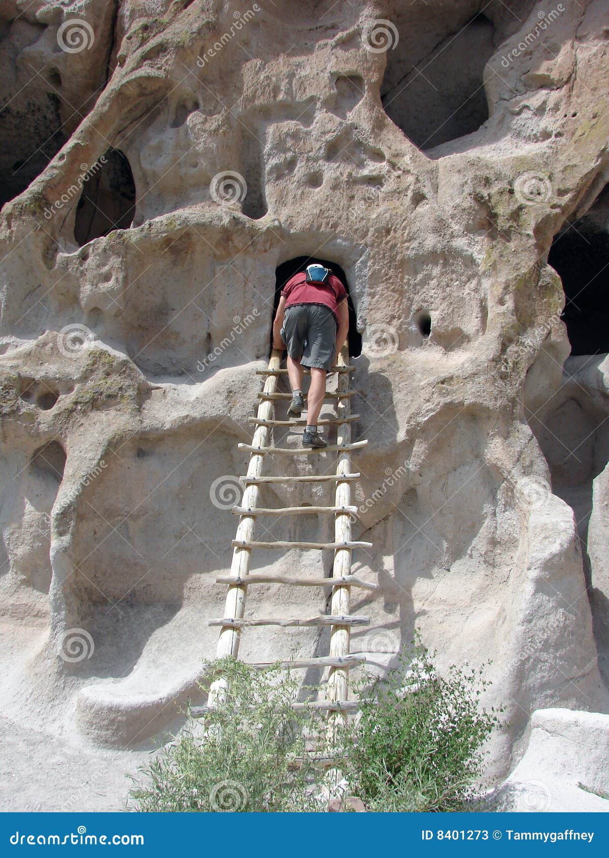 Man Climbing Ladder at Cliff Dwellings Stock Image - Image of landscape ...