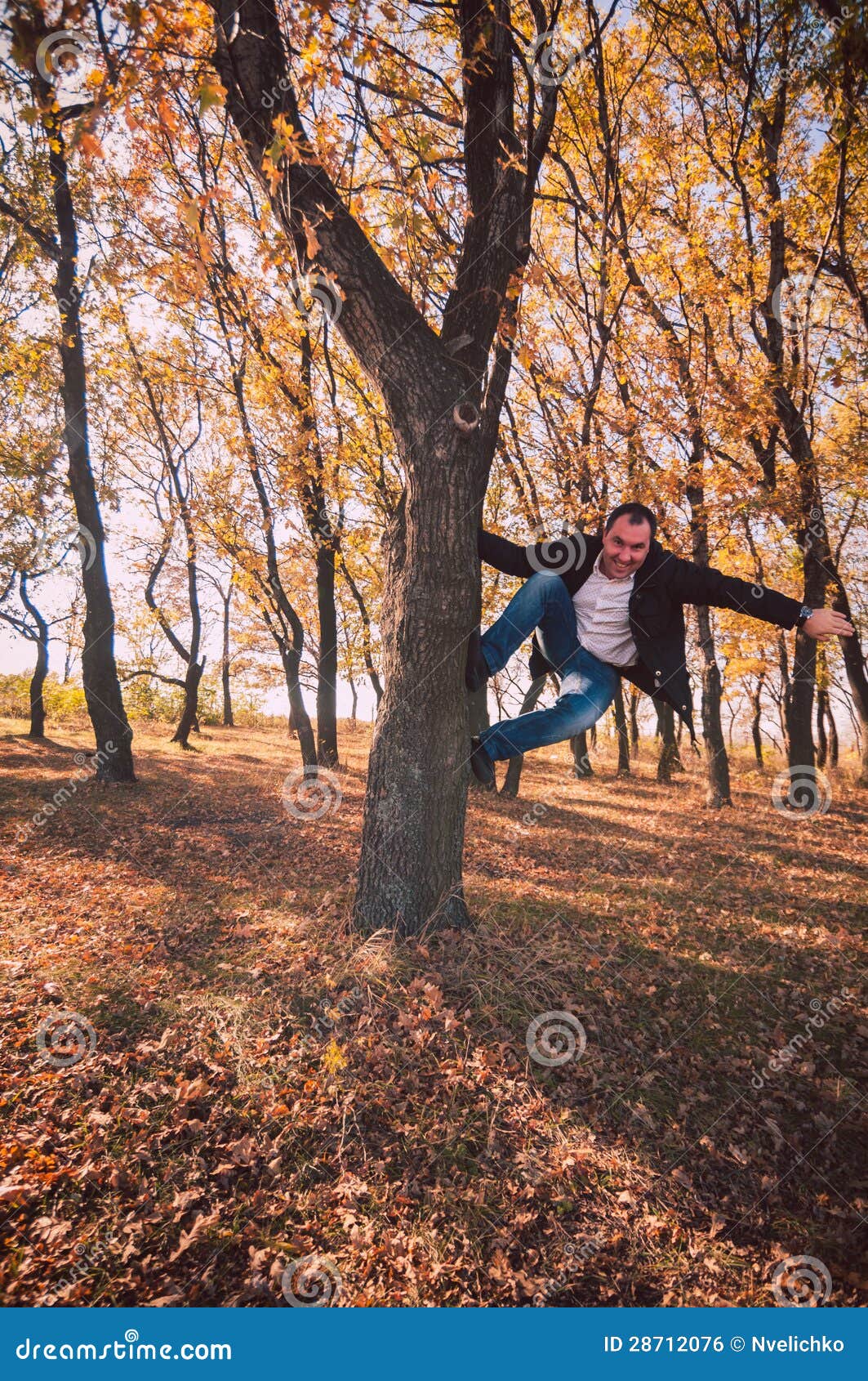 Man climbing tree stock photo. Image of people, tree - 28712076