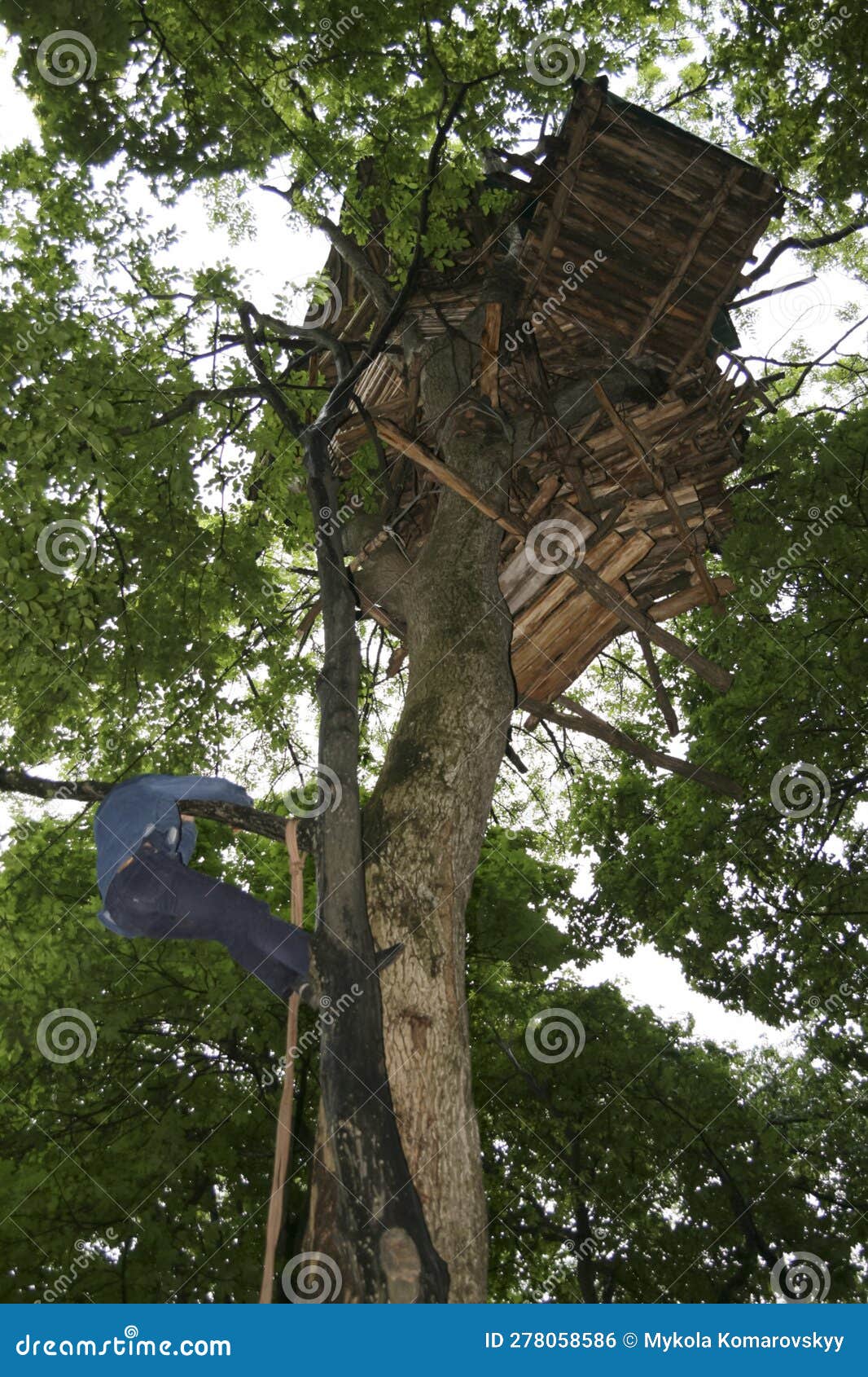 Man climbing on a tree stock photo. Image of playing - 278058586