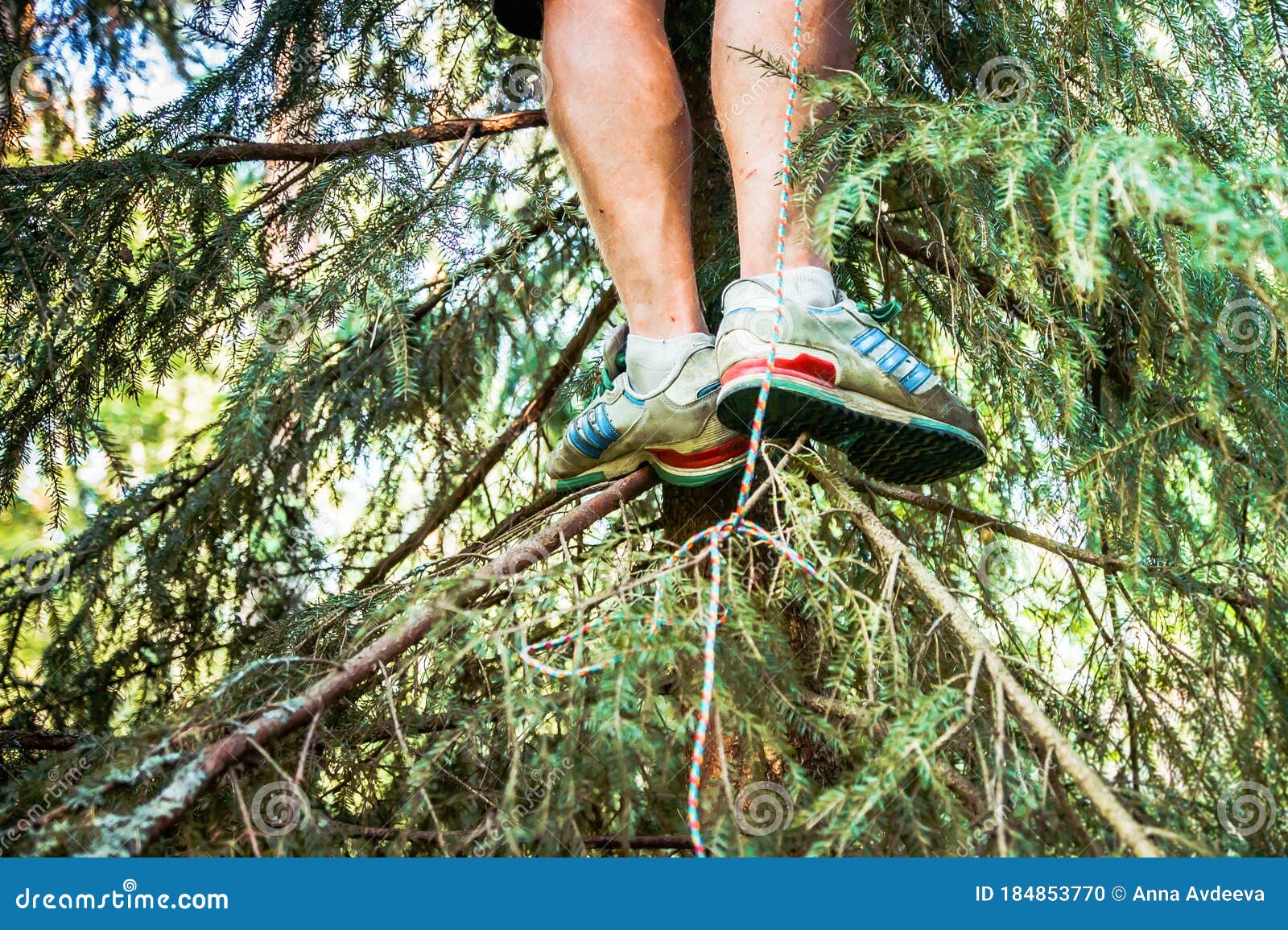 Feet are on the Branches of a Tree Stock Photo - Image of lifestyle ...