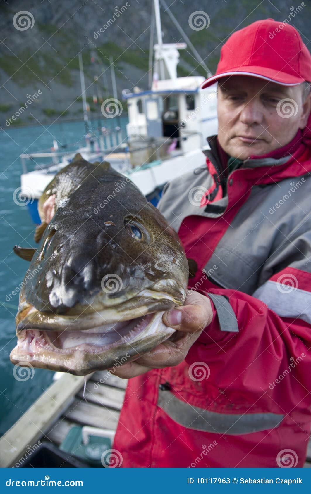 Man with cod fish stock image. Image of giant, hold, boat - 10117963