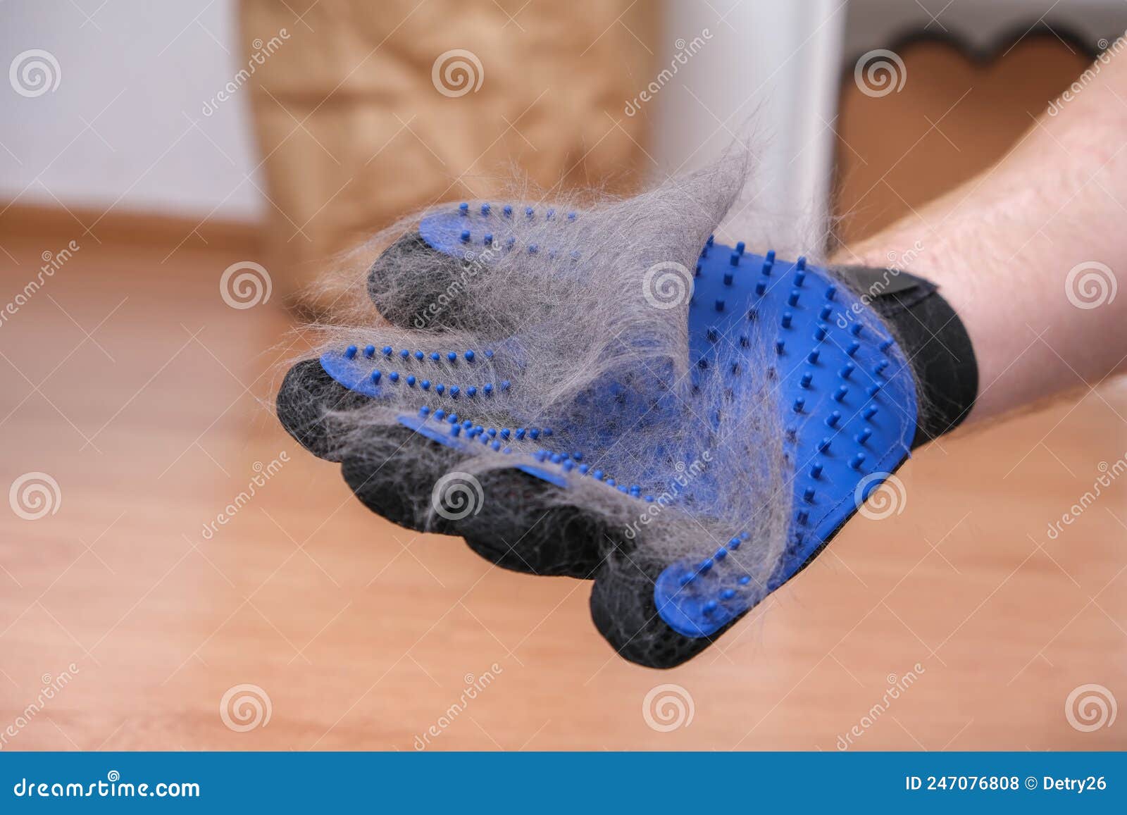 A Man Combs the Cat& X27;s Fur with Special Glove and Comb. Stock Photo ...