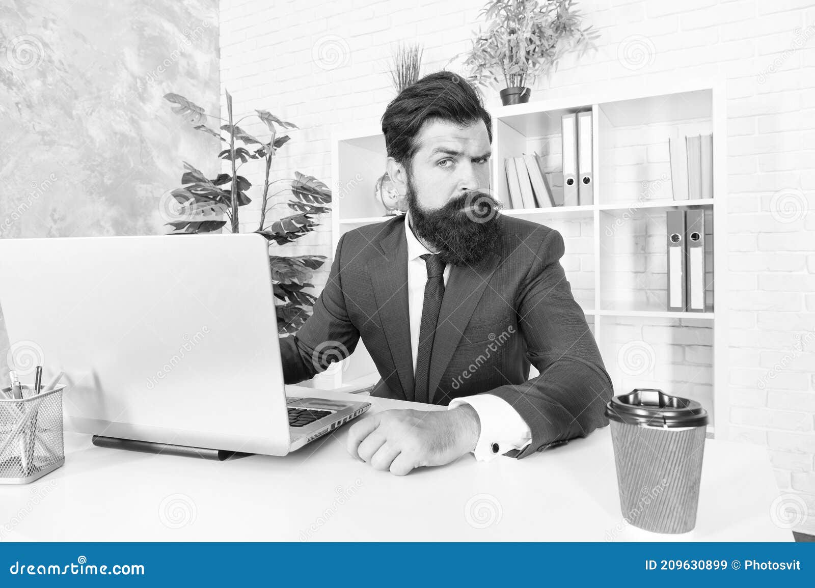 Man Confident Director Work Online Laptop Modern Office, Idea on His ...