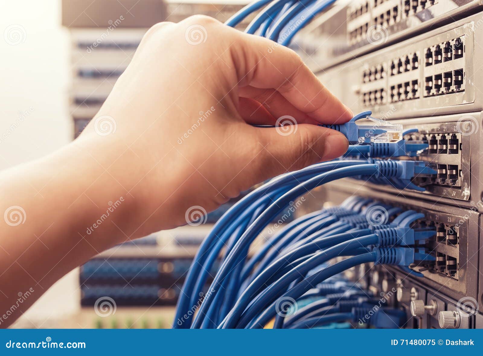 Connecting Network Cables To Switches Stock Photography | CartoonDealer ...