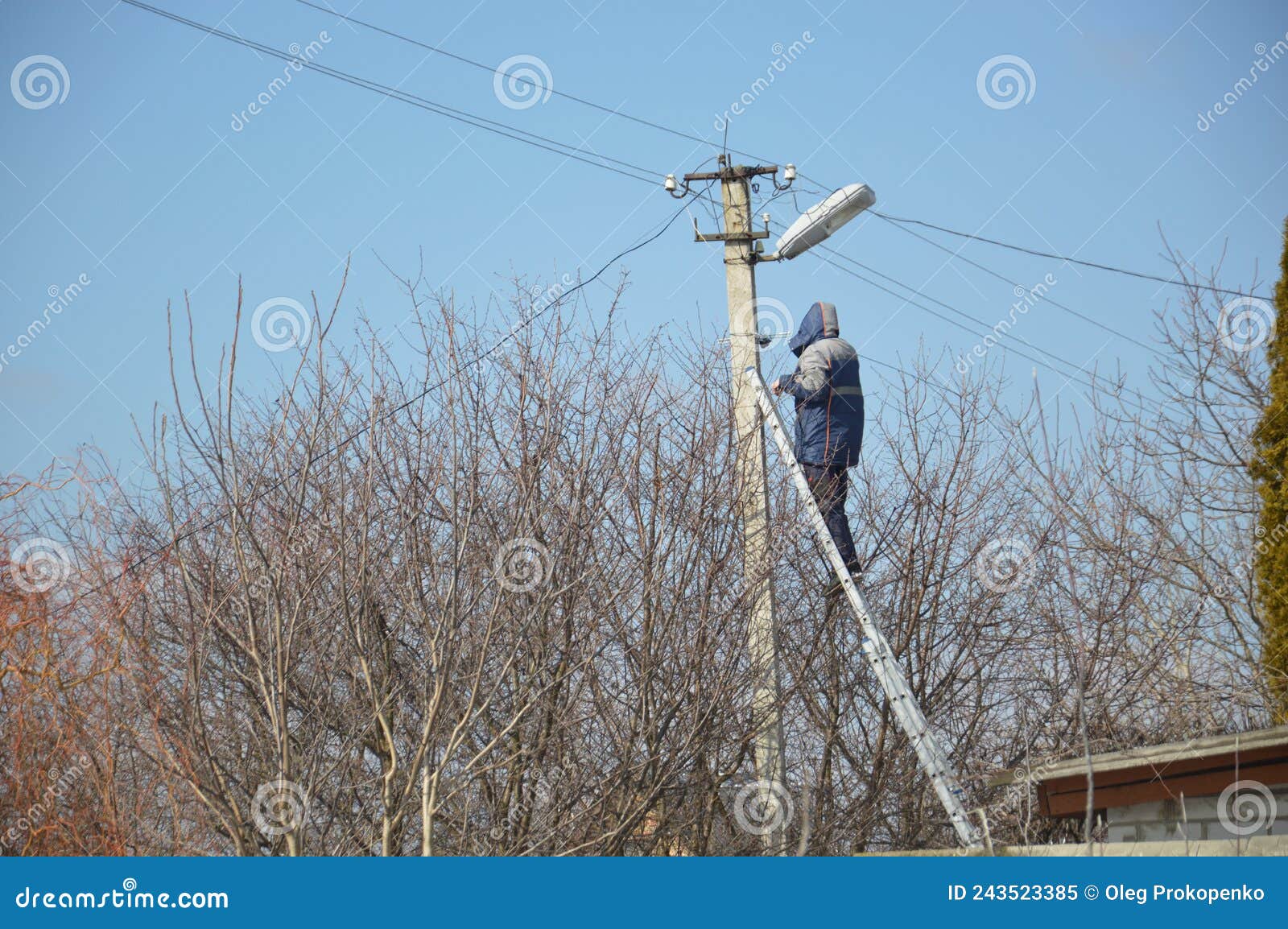 The Man Connects Wired Internet on an Electric Pole Stock Image - Image ...