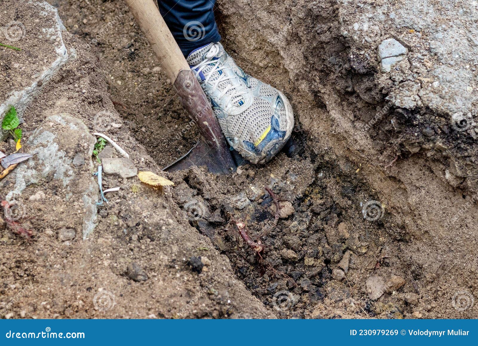 A Man on a Construction Site Digs a Ditch with a Shovel Stock Image ...