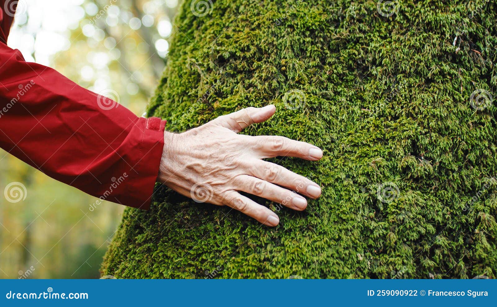 Man in Contact with Nature stock photo. Image of october - 259090922