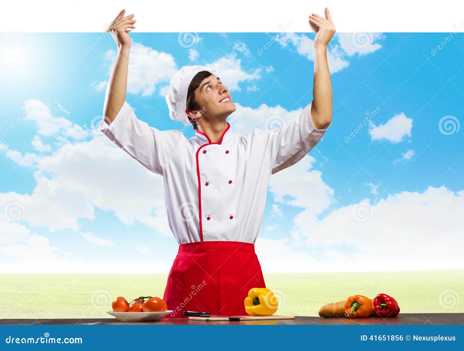 Man cook stock photo. Image of placard, gourmet, lifestyles - 41651856
