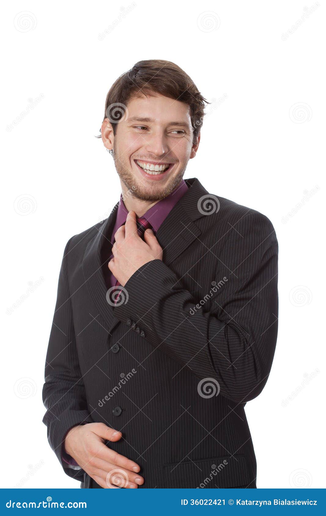 Man correcting a tie stock image. Image of businessman - 36022421
