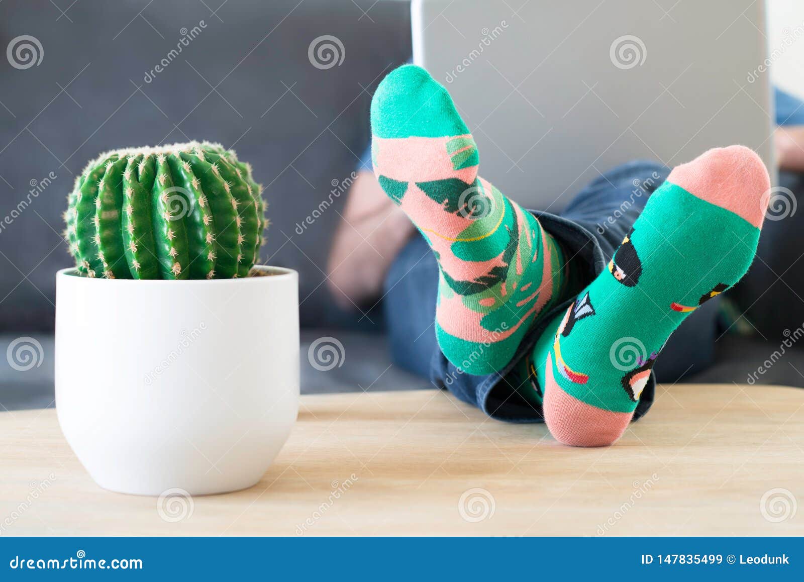 819 Working Home Socks Stock Photos - Free & Royalty-Free Stock Photos ...