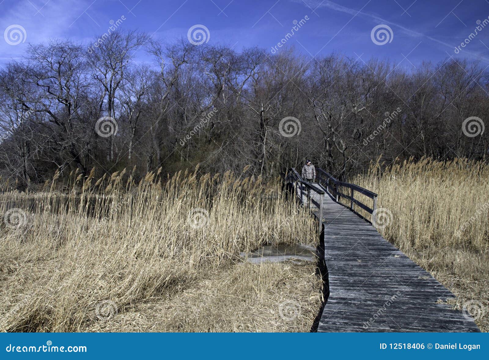 Man crossing small bridge stock photo. Image of marsh - 12518406