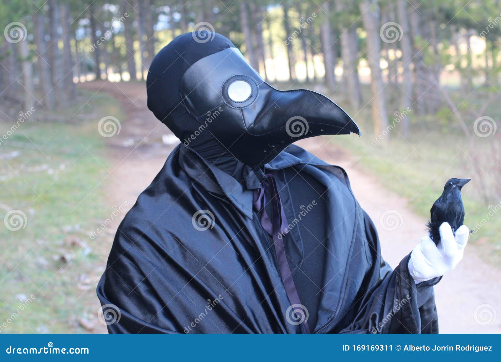 Man with Crow Mask Holding a Raven Stock Image - Image of costume ...