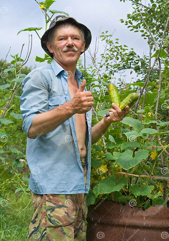 Man with cucumbers 3 stock photo. Image of food, garden - 10881624