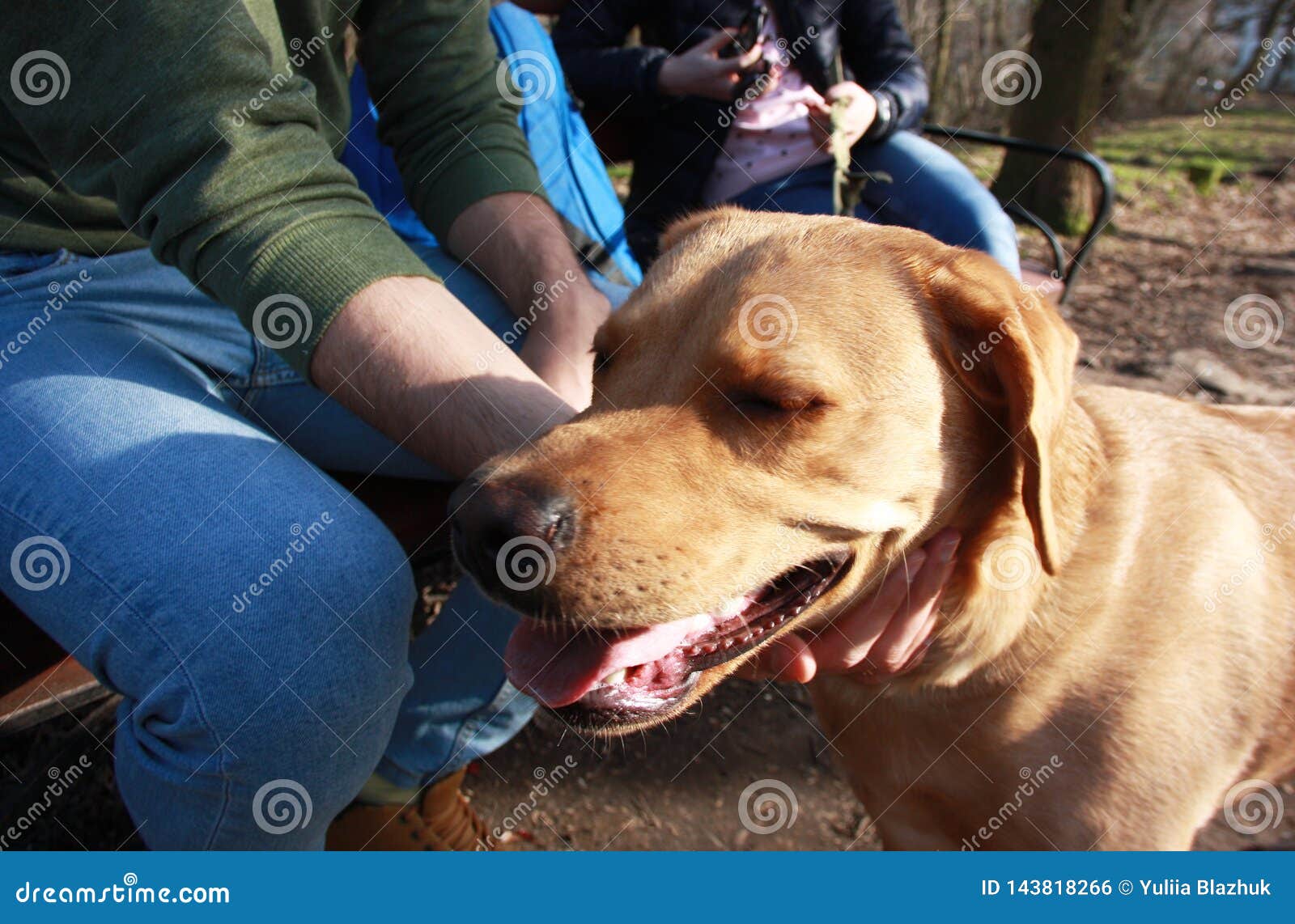 Man Cuddling His Dog during the Walk in Park Stock Photo - Image of ...