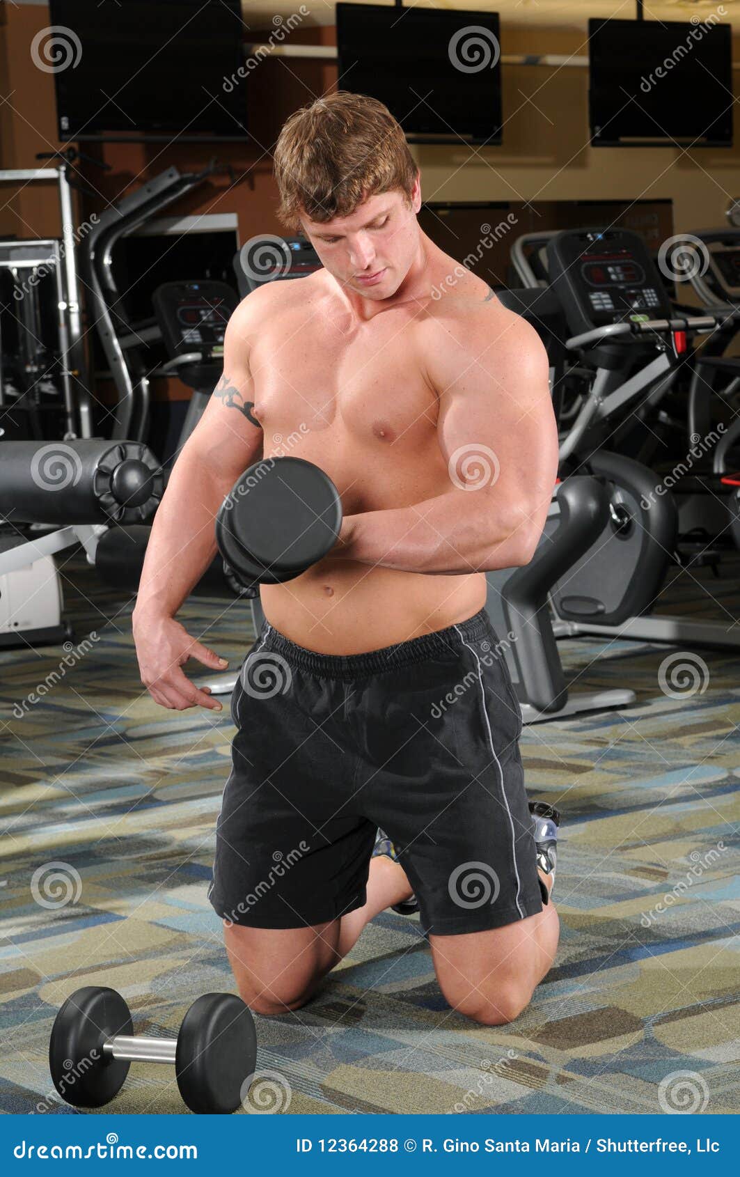 Man Curling Dumbbell stock photo. Image of dumbbell, exercising - 12364288