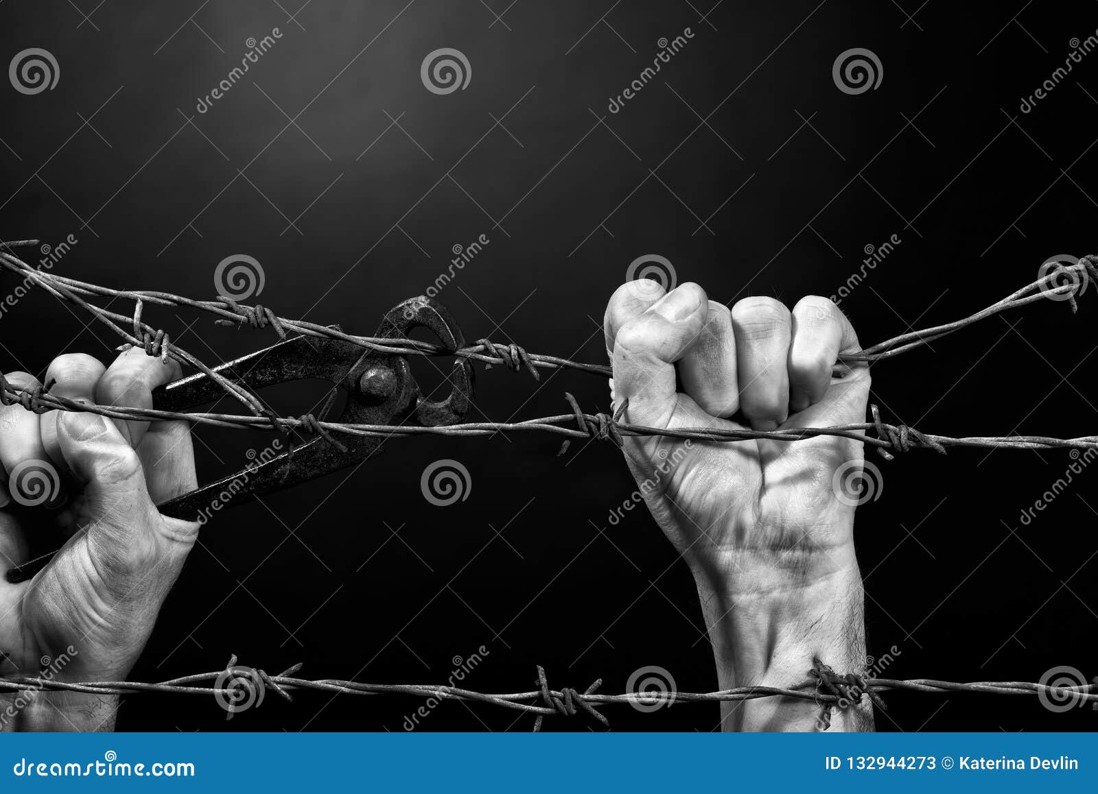Man Cuting a Barbed Wire Fence. Stock Image - Image of barbed, escape ...