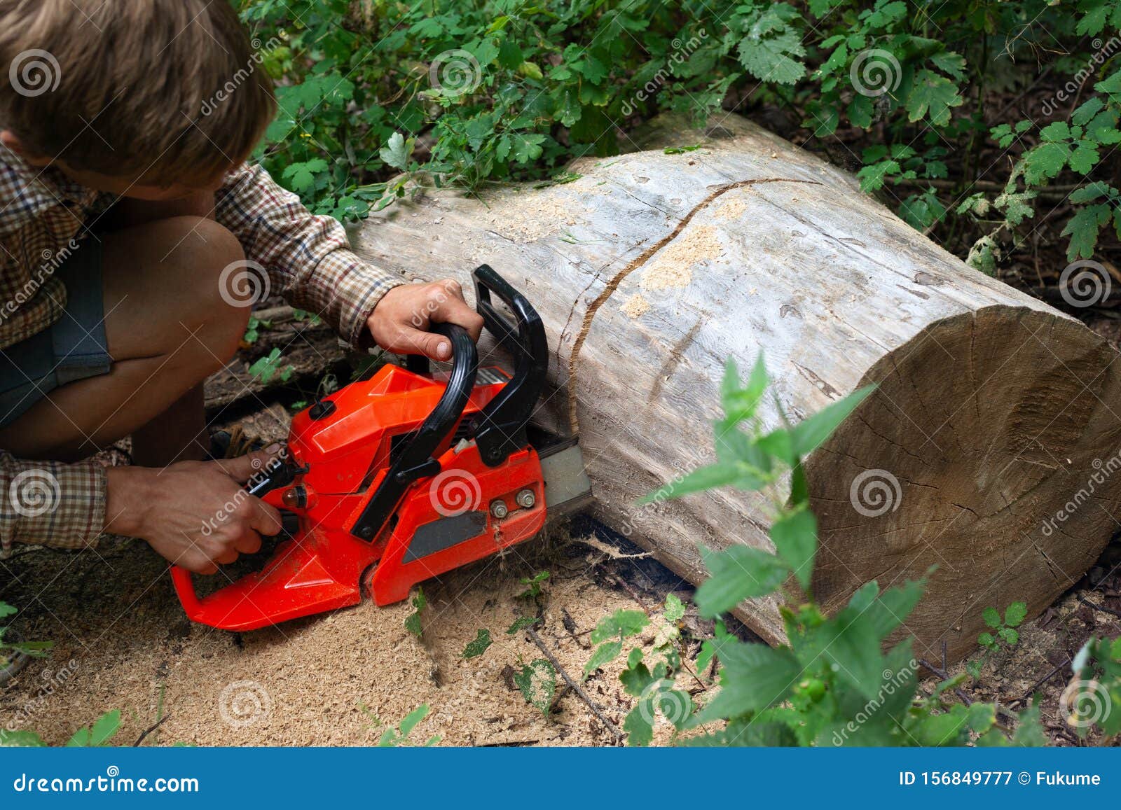 A Man Cuts a Fallen Tree with a Chainsaw Stock Image - Image of axeman ...