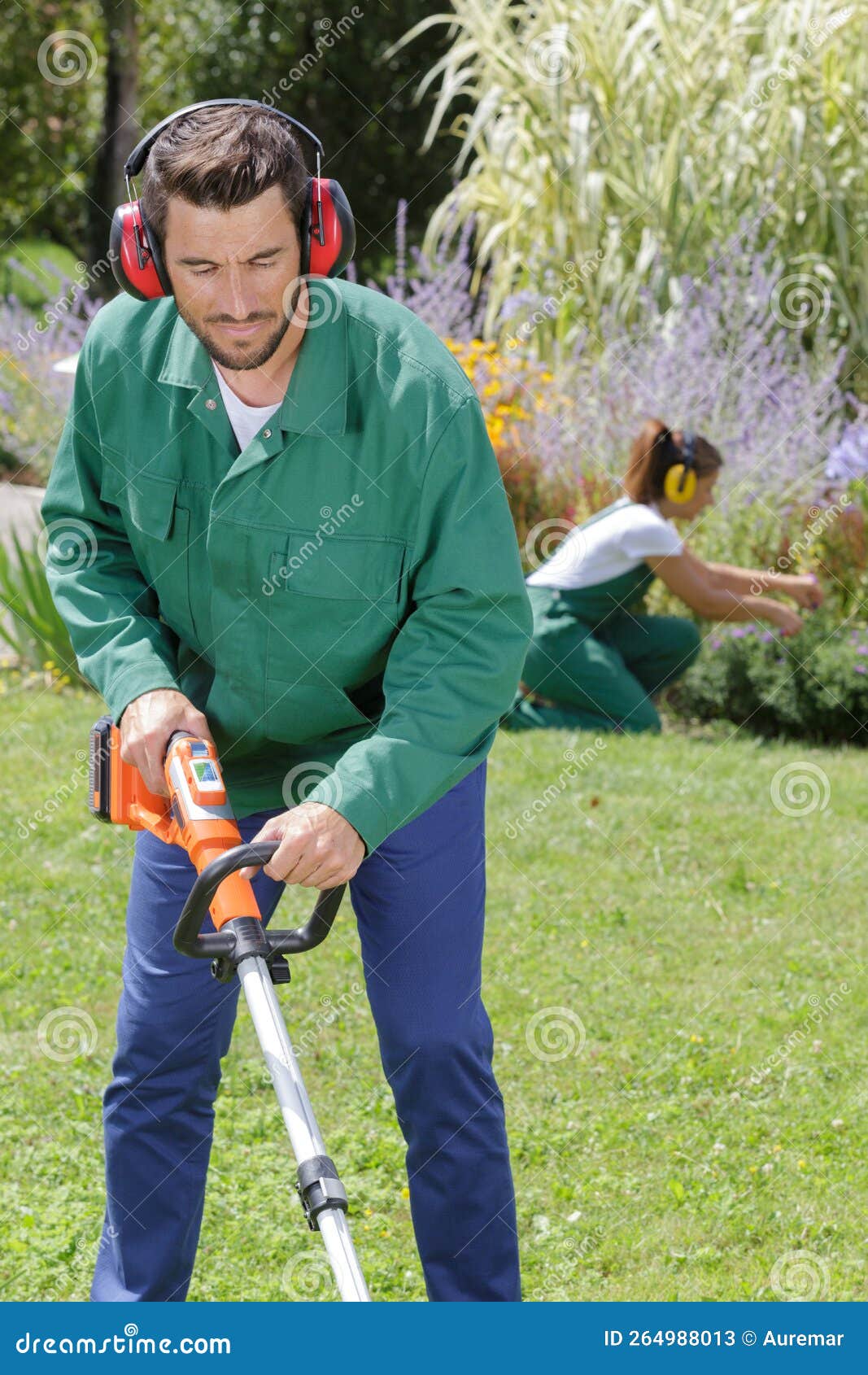 Man cuts grass cut grass stock image. Image of yard - 264988013