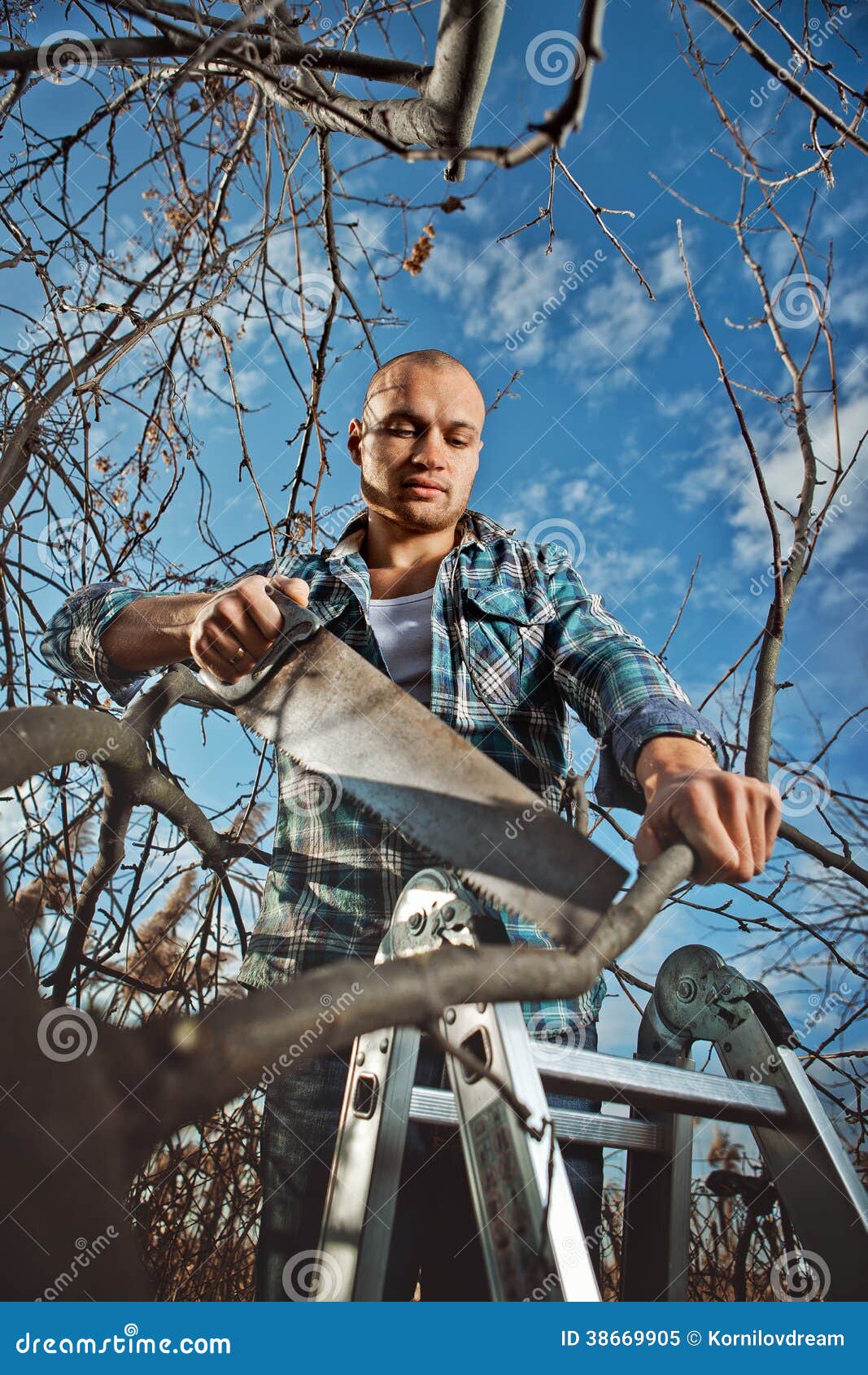Man cutting a branch stock image. Image of machine, equipment - 38669905
