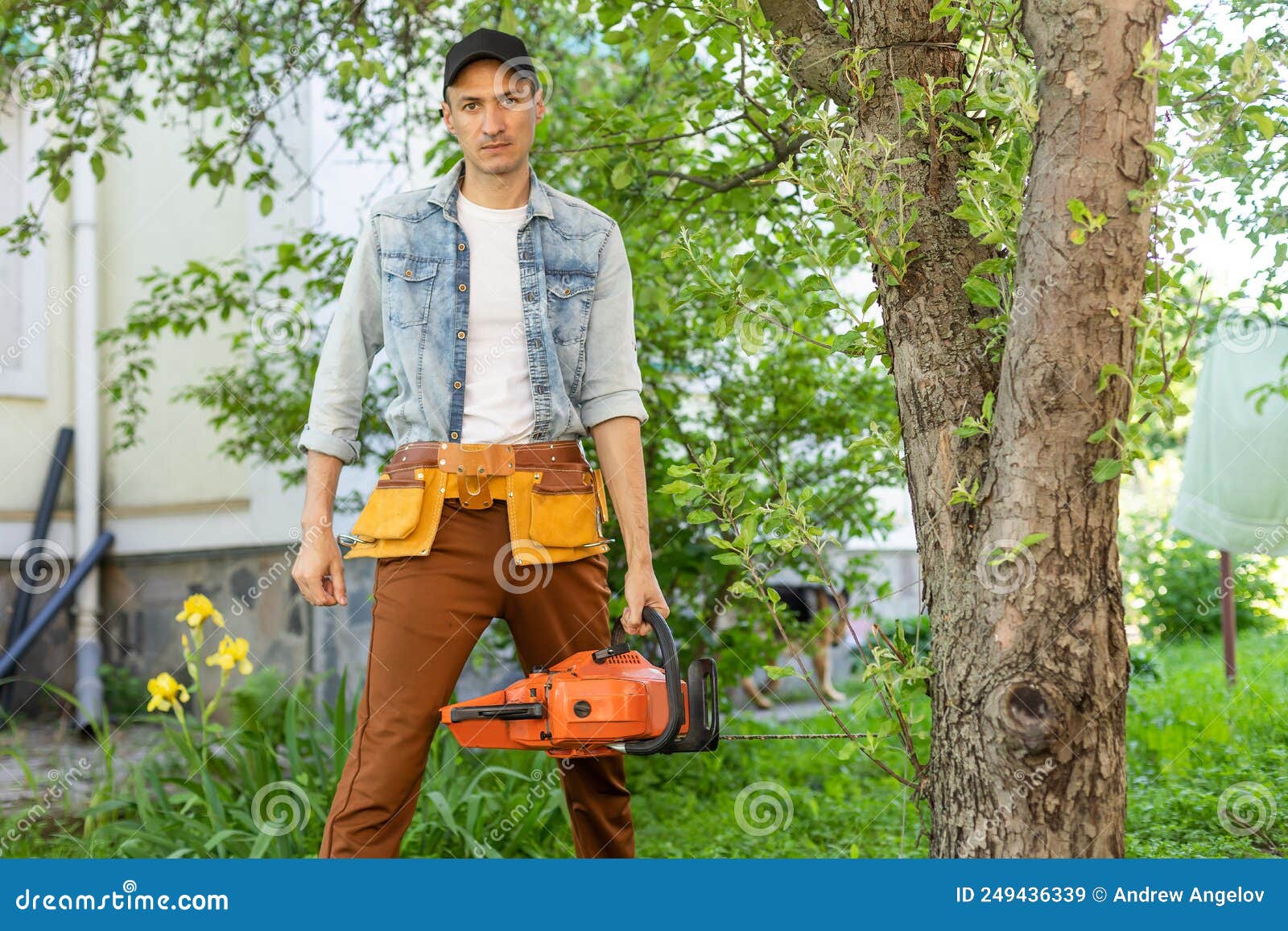 Man Cutting a Branch with Chainsaw Stock Image - Image of engine ...