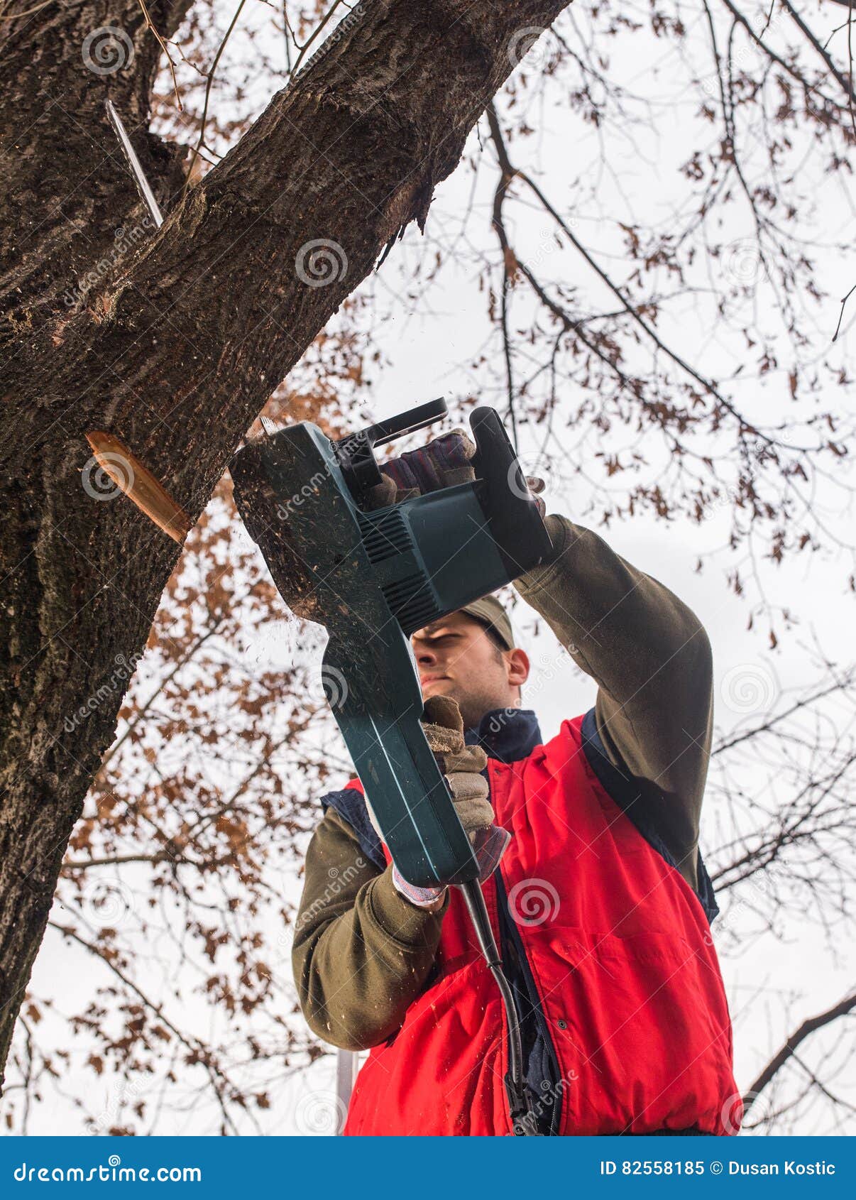 Man Cutting a Branch with Chainsaw in the Yard Stock Image - Image of ...