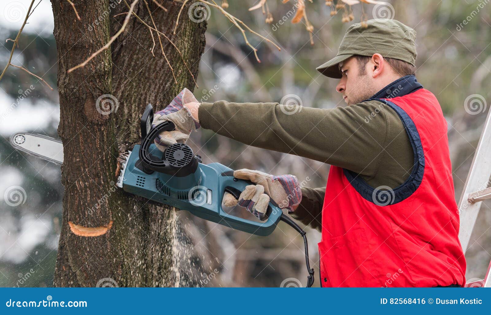 Man Cutting a Branch with Chainsaw in the Yard Stock Photo - Image of ...