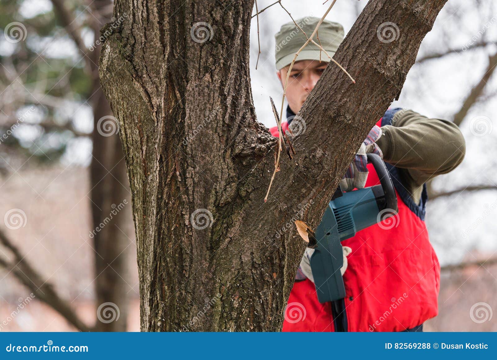 Man Cutting a Branch with Chainsaw in the Yard Stock Photo - Image of ...