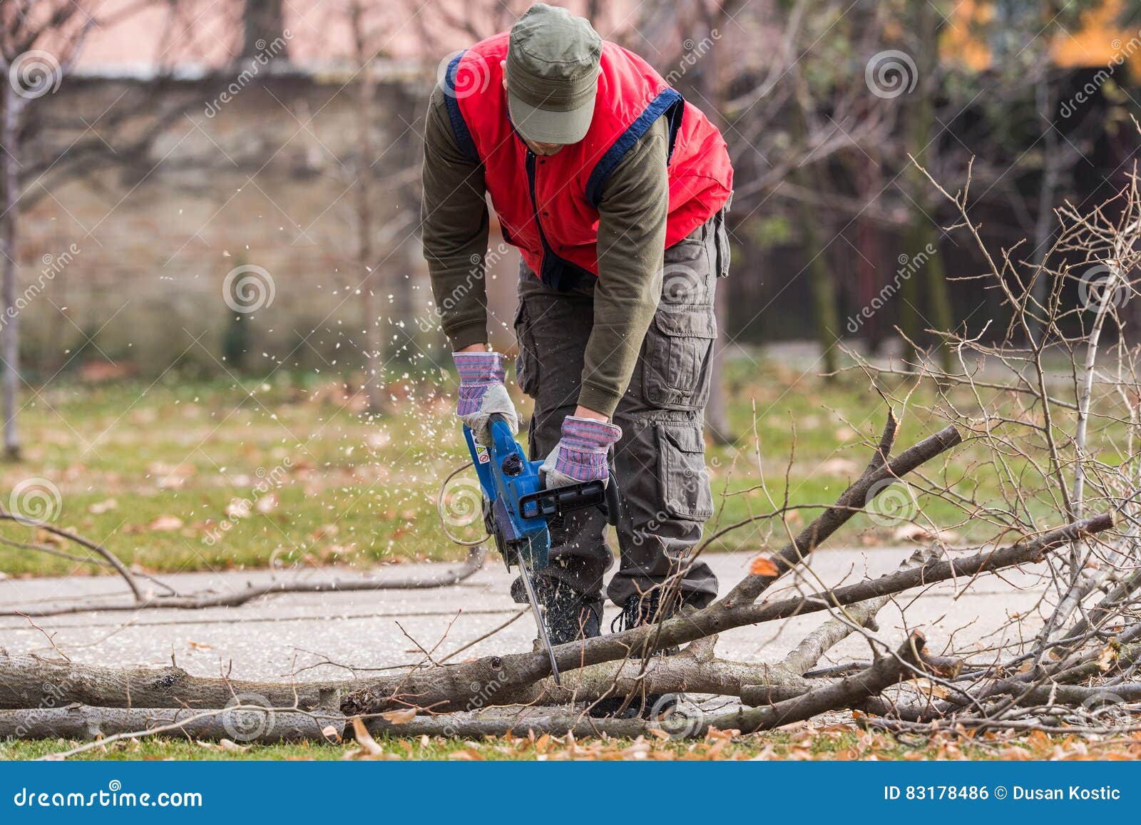 Man Cutting a Branch with Chainsaw in the Yard Stock Photo - Image of ...