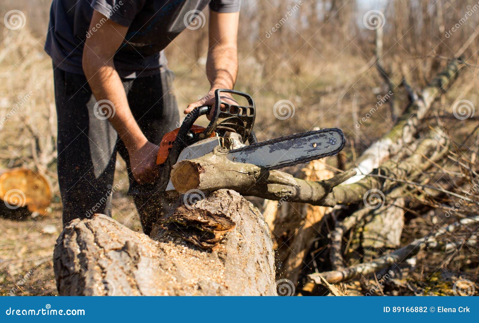 Man cutting branch stock photo. Image of equipment, professional - 89166882