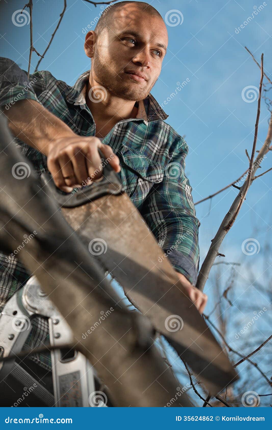 Man cutting a branch stock photo. Image of holding, nature - 35624862