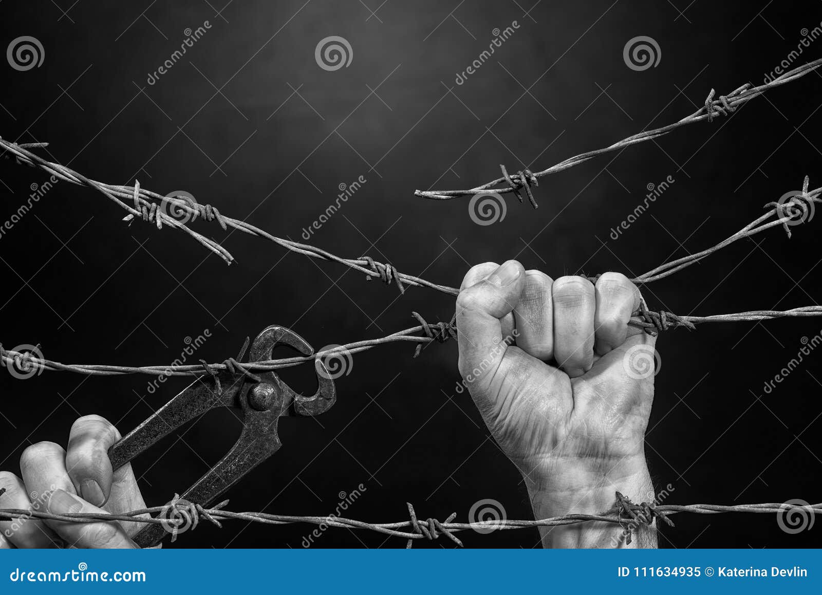 Man is Cutting a Fence stock image. Image of barbed - 111634935