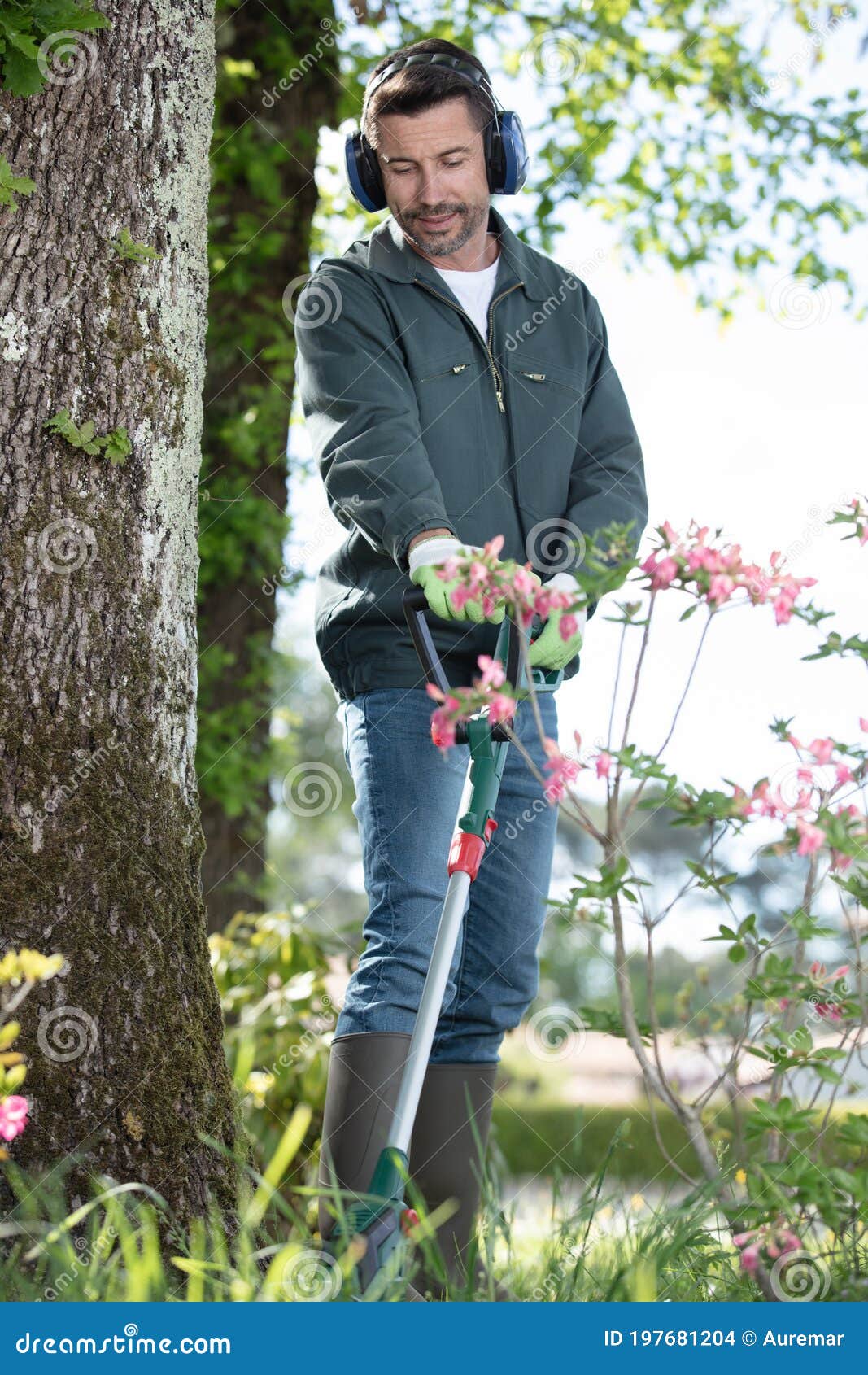 Man cutting grass stock photo. Image of blade, care - 197681204