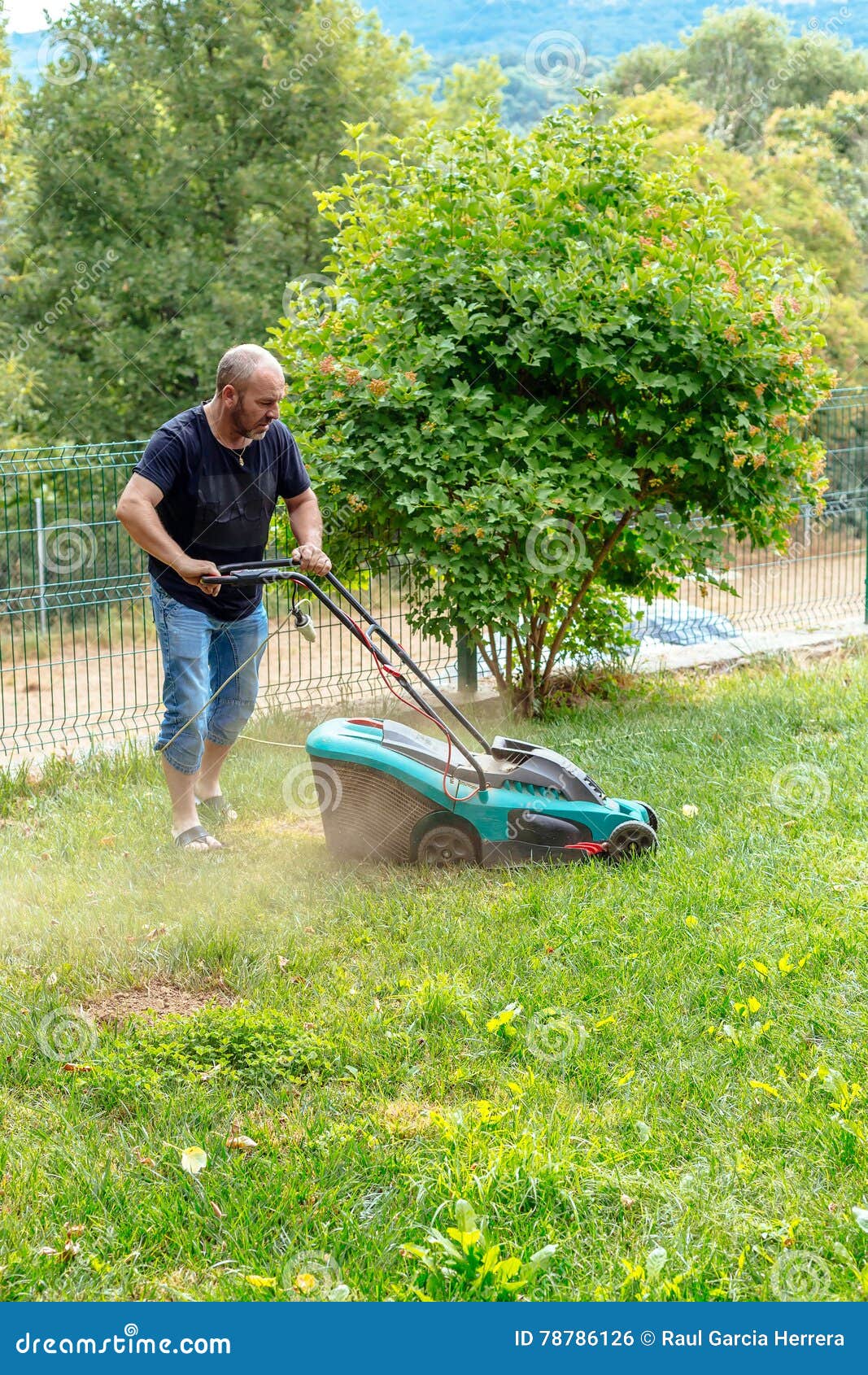 Man Cutting Grass in His Garden Stock Photo - Image of grass, electric ...