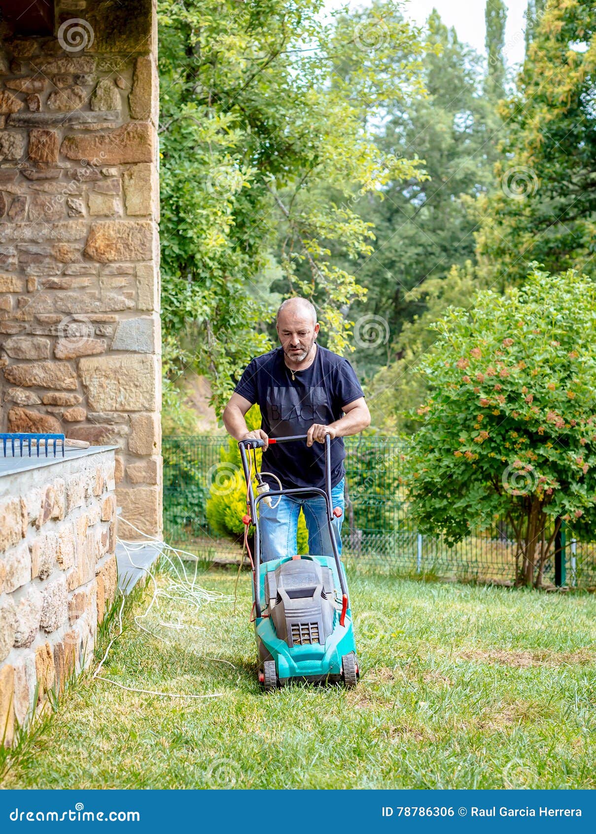 Man Cutting Grass in His Garden Stock Photo - Image of adult, grass ...