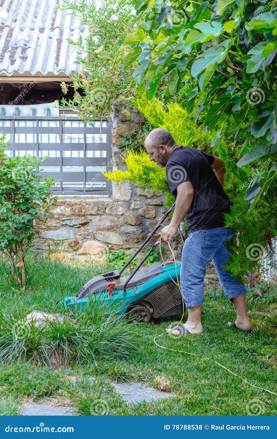 Man Cutting Grass in His Garden Stock Photo - Image of garden, mower ...