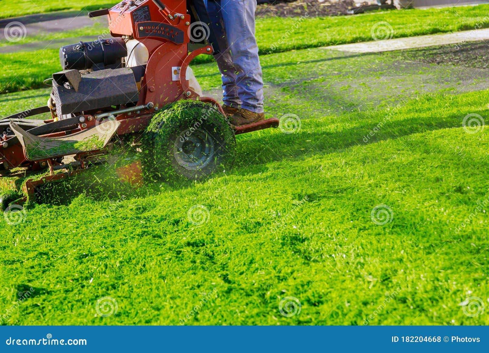 Man Cutting Grass in His Yard with Lawn Mower Stock Photo - Image of ...