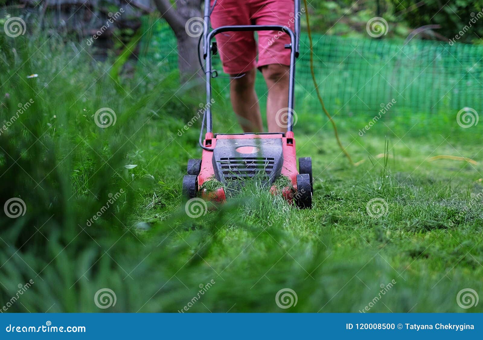 A Man Cutting the Grass with a Lawn Mower Stock Photo - Image of field ...