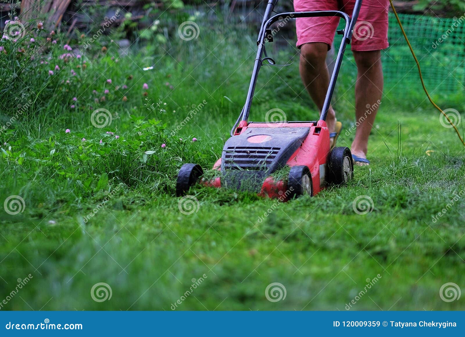 A Man Cutting the Grass with a Lawn Mower Stock Image - Image of mower ...