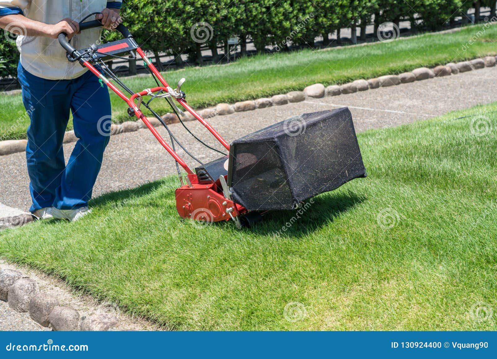 Man Cutting Grass with Lawn Mower Stock Photo - Image of electric ...