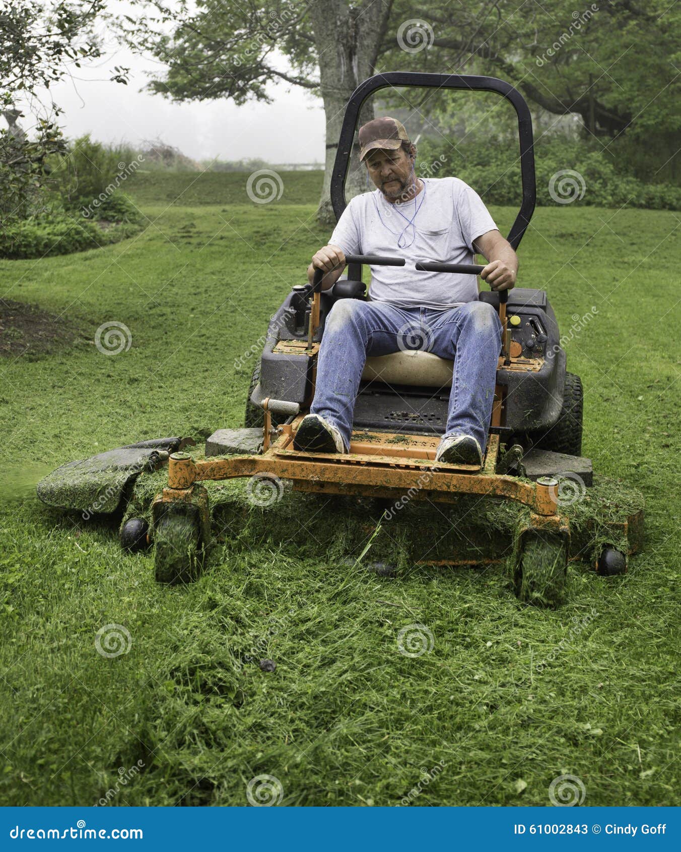 Man Cutting Grass on Lawnmower Stock Image - Image of care, mower: 61002843