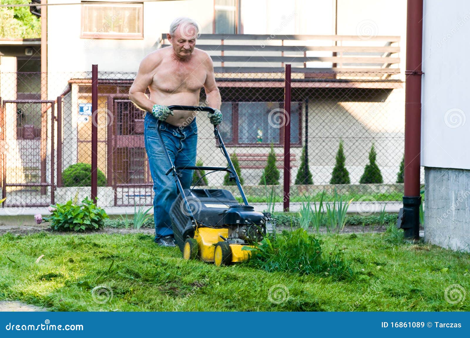 Man Cutting Grass with the Mower Stock Image - Image of grasscutter ...
