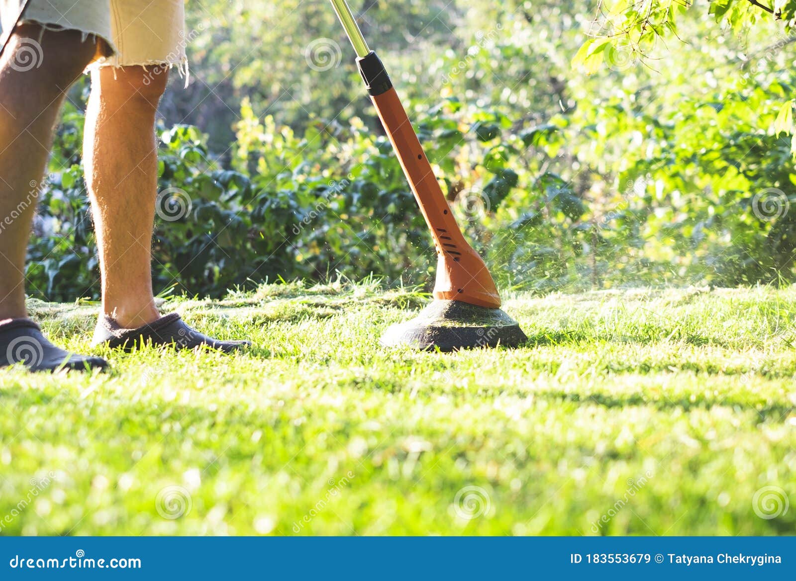 Man Cutting Grass Using Grass Trimmer Stock Image - Image of lawn ...