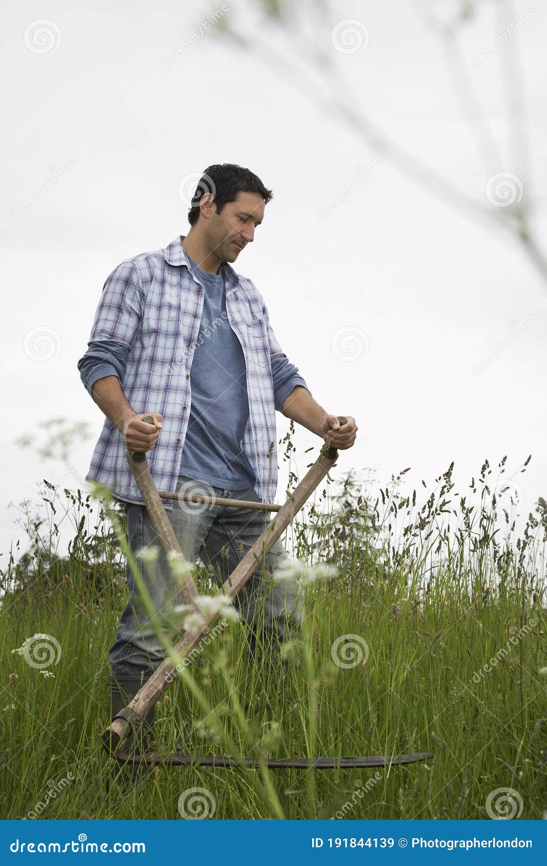 Man Cutting Grass Using Scythe in Field Stock Image - Image of years ...