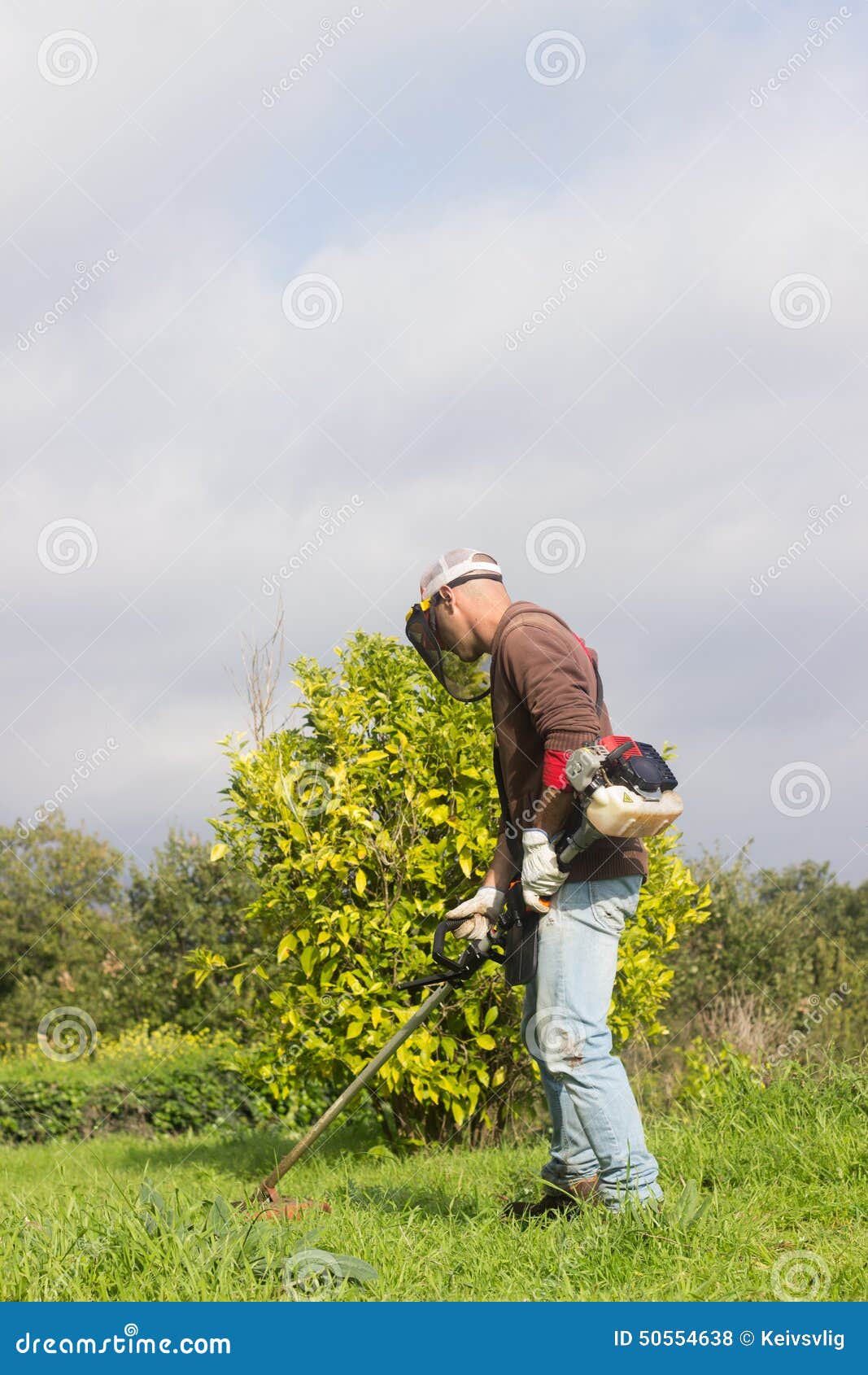 Man cutting grass stock photo. Image of young, spring - 50554638