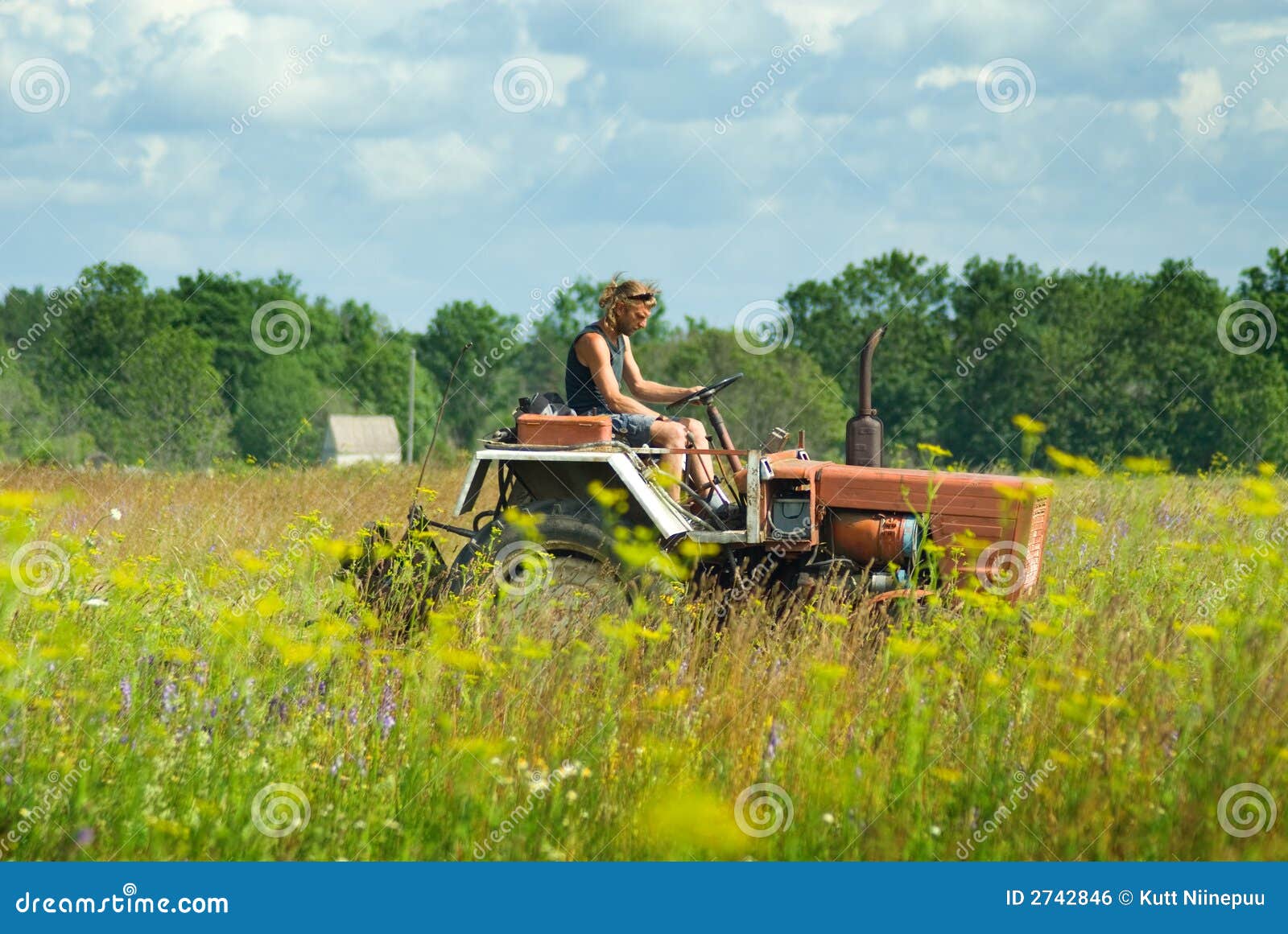 Man cutting hay stock photo. Image of equipment, mowing - 2742846