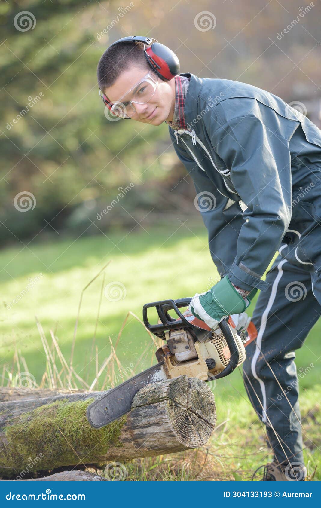 Man cutting a log stock image. Image of logging, grading - 304133193