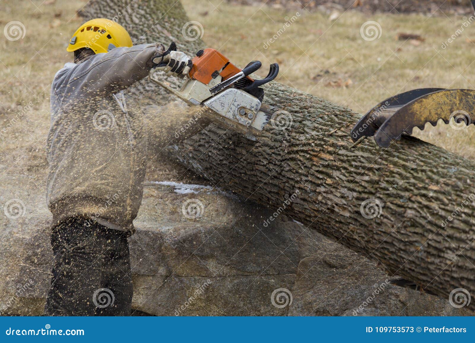 Man cutting log stock image. Image of trunk, accident - 109753573