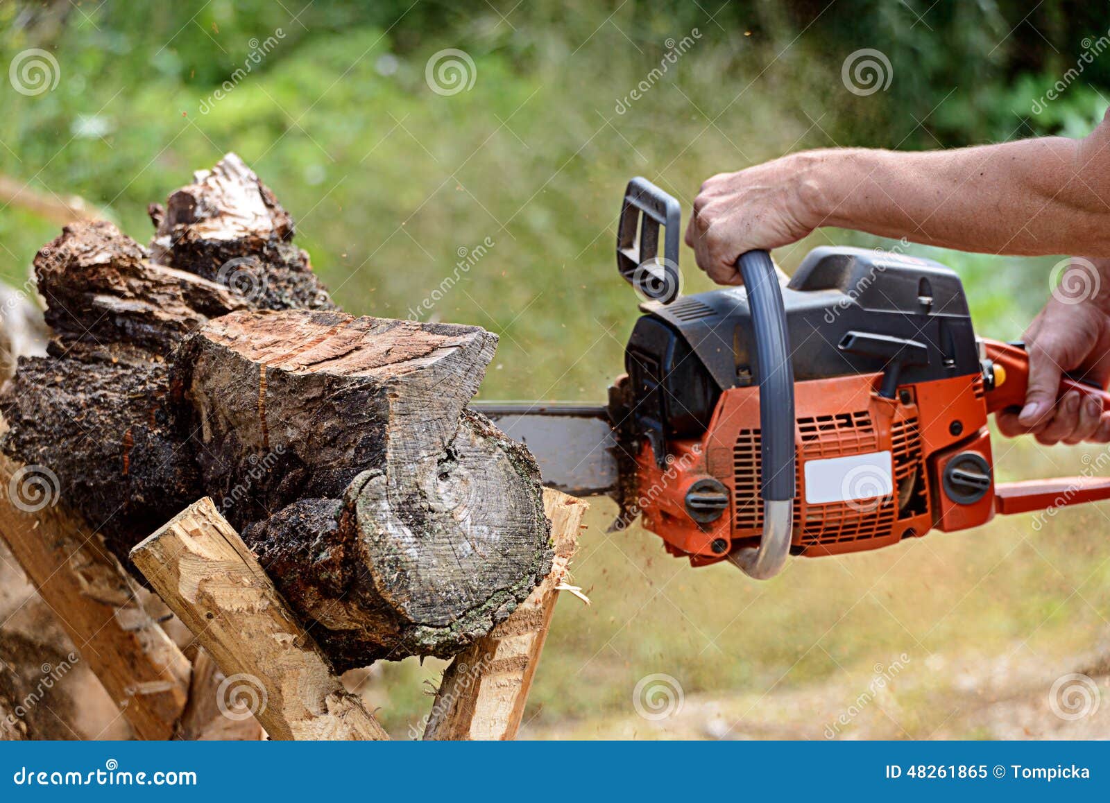 Man Cutting Lumber with Chainsaw Stock Image - Image of cutter, sawdust ...