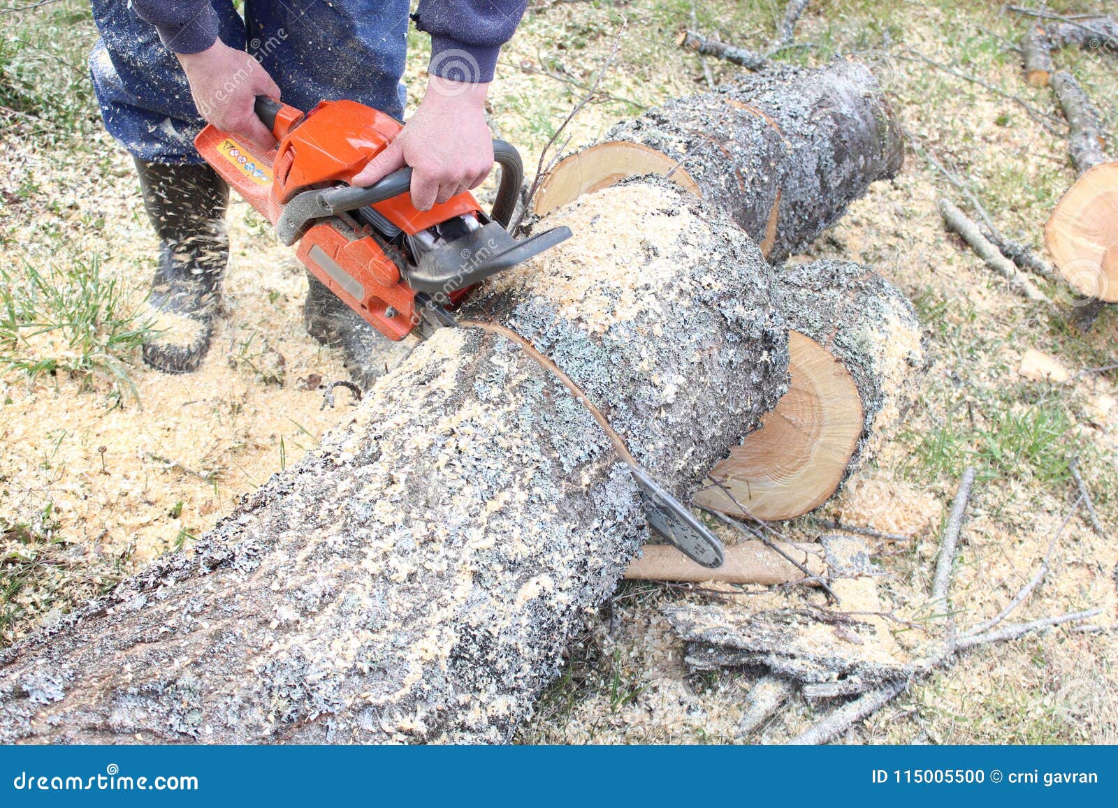 Man Cutting a Piece of Wood by Using Saw Machine Stock Photo - Image of ...